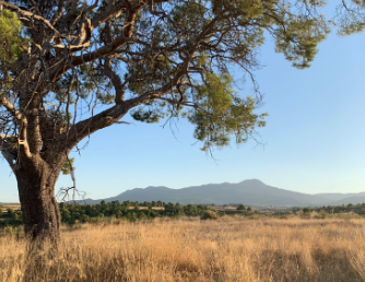 Building the 4 returns at El Roble - Regeneration Academy
